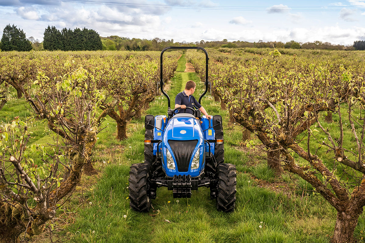 Kompakttraktoren | New Holland (DE) - BOOMER 55/Gear