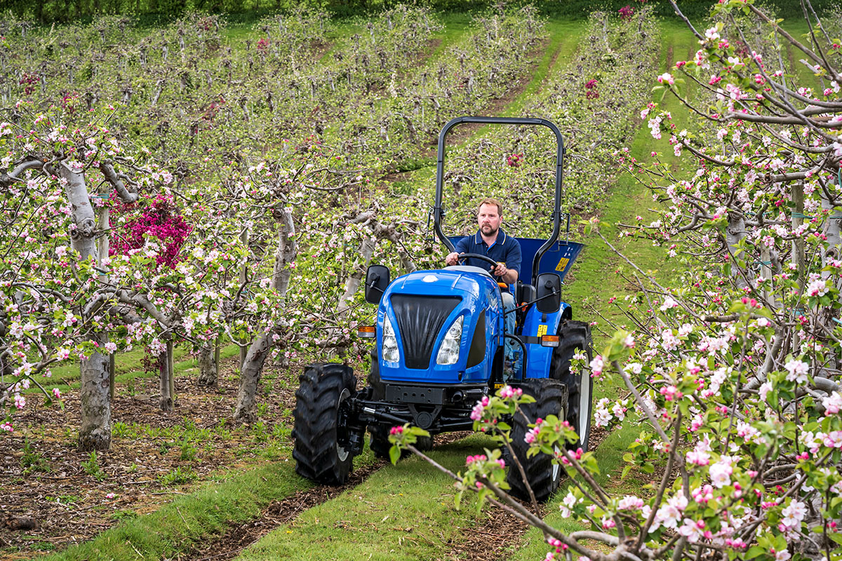 Kompakttraktoren | New Holland (DE) - BOOMER 55/Gear